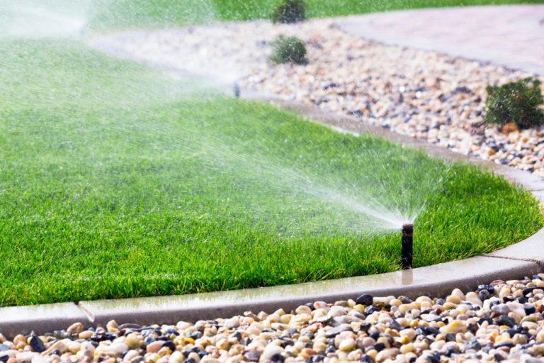 Why You Should Install a Lawn Reticulation System in Your Home ...